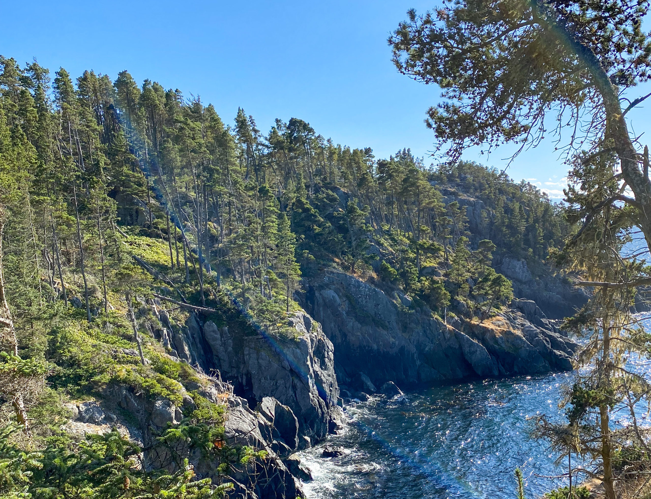 Coast Trail, East Sooke - Contemplative